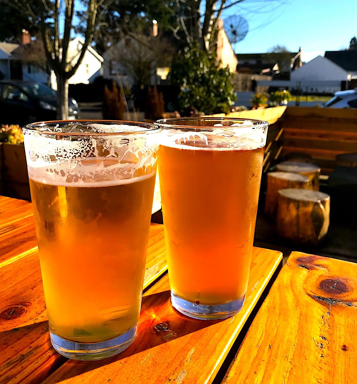 Portland Mediterranean Food - Spitz Restaurant and Bar - Spitz Restaurant