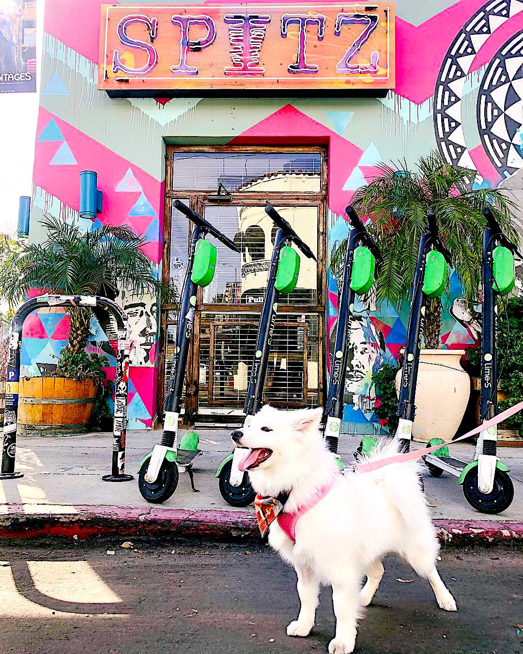 Los Feliz Mediterranean Food - Spitz Restaurant and Bar - Spitz Restaurant